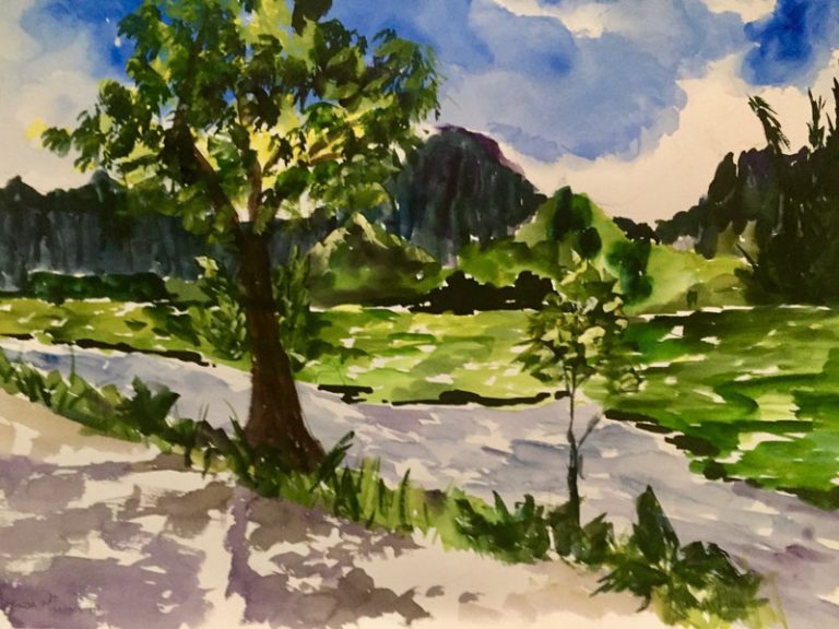 Susan Phillips | Wahi Pana – A Sense of Place Exhibit